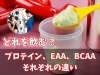 プロテイン・EAA・BCAAの違いと、トレーニングでの使い分けポイント！ | フィットネススクール ロコモK.O南久米店のニュース ...